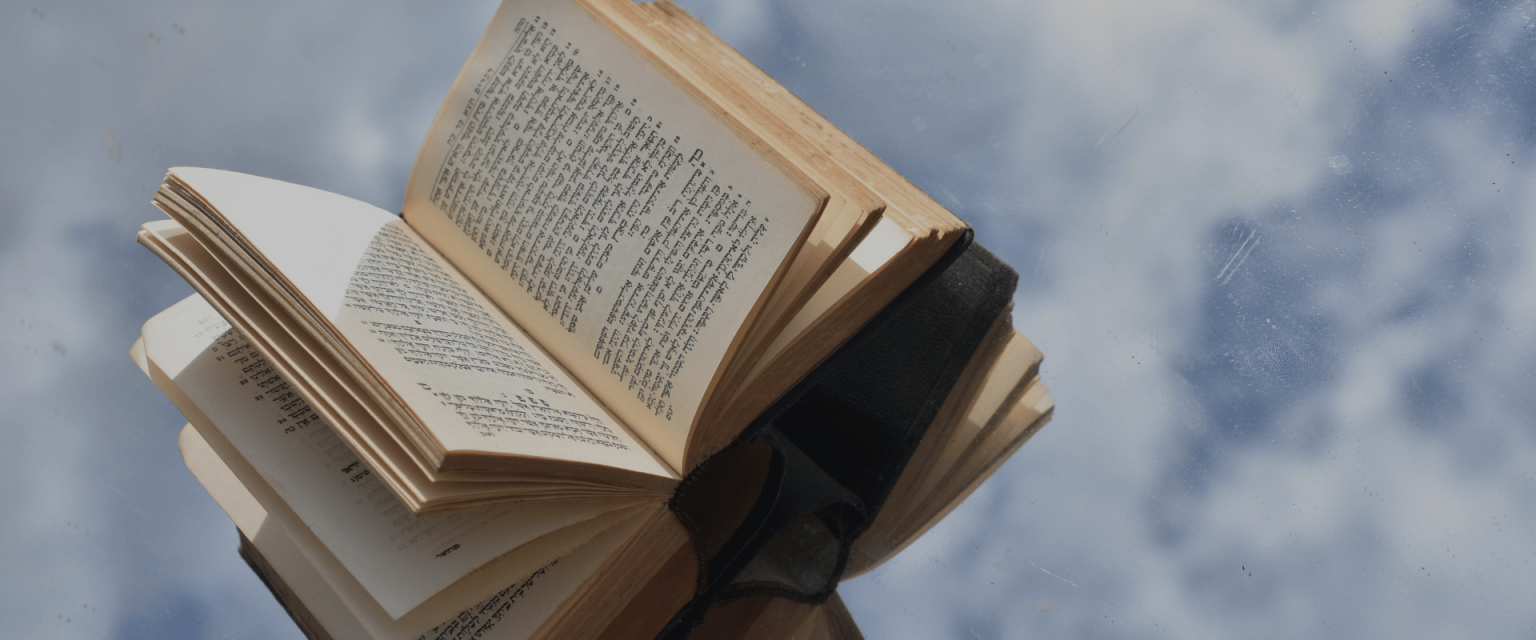 Sefaria Review: App, Meaning, & How to Use