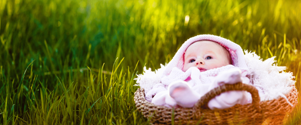 Who Was Moses Mother and Father & Why Did They Leave Him?