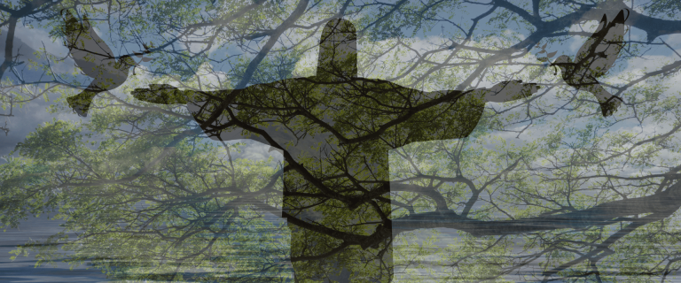 All 23 Branches of Christianity & Their Differences (Plus Timeline!)