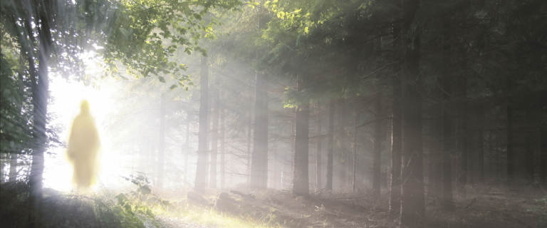 The Miracles of Jesus: List of Every Jesus Miracle (IN ORDER)