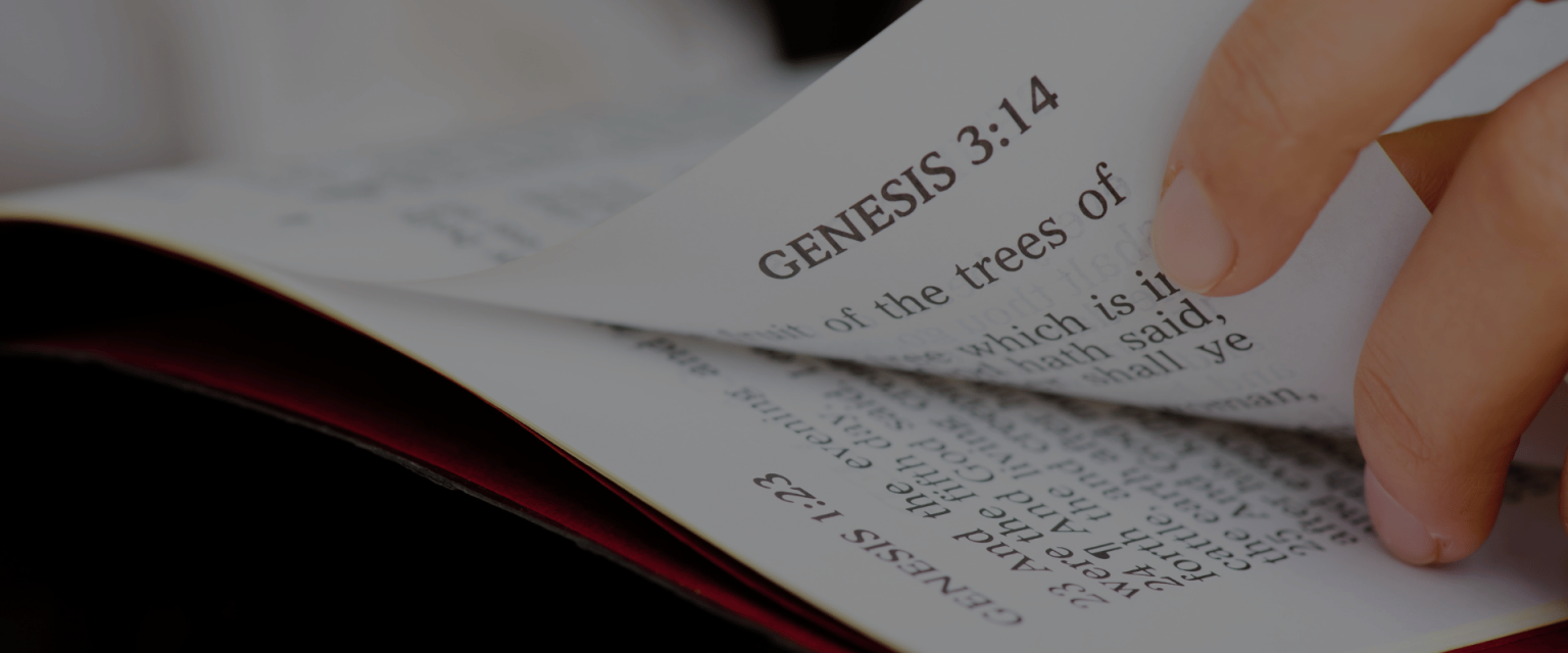 The First 5 Books of the Bible: A 1,000 Word Summary