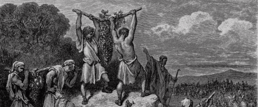 Who Were the Canaanites in the Bible? (And Where Are They Today?)